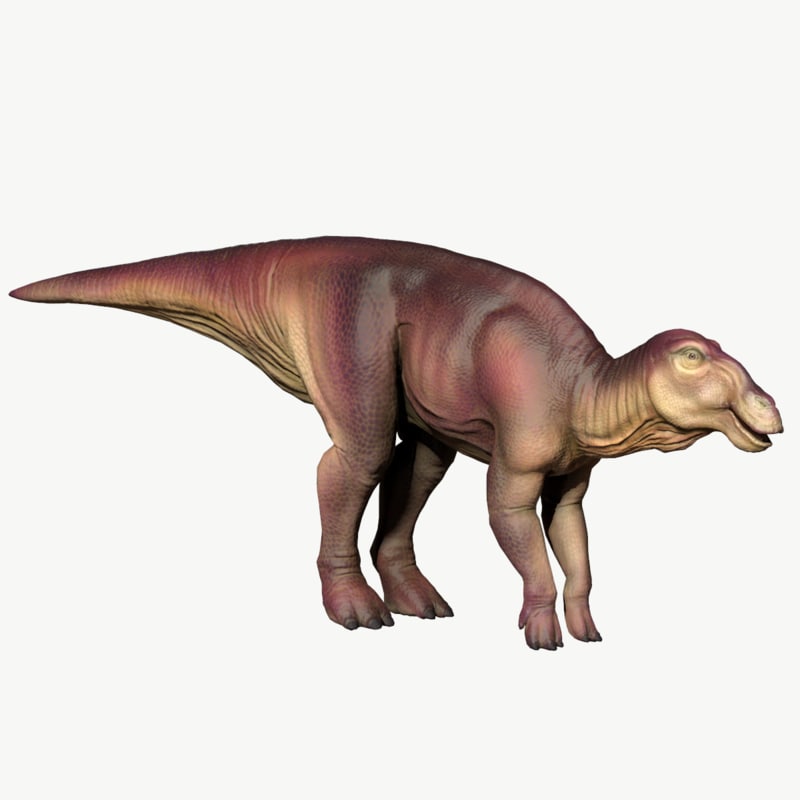 3D edmontosaurus - TurboSquid 1242285