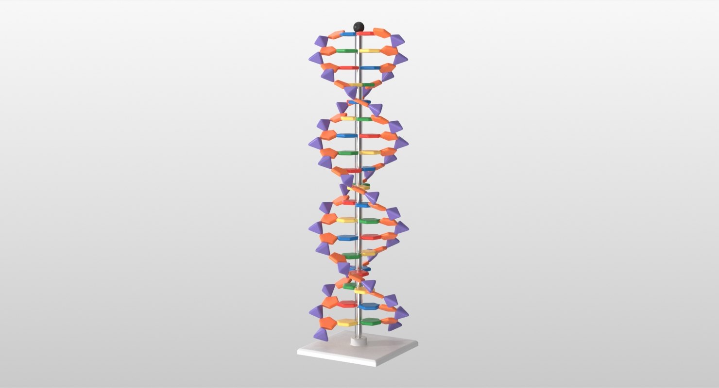Corona dna 3D model - TurboSquid 1242425