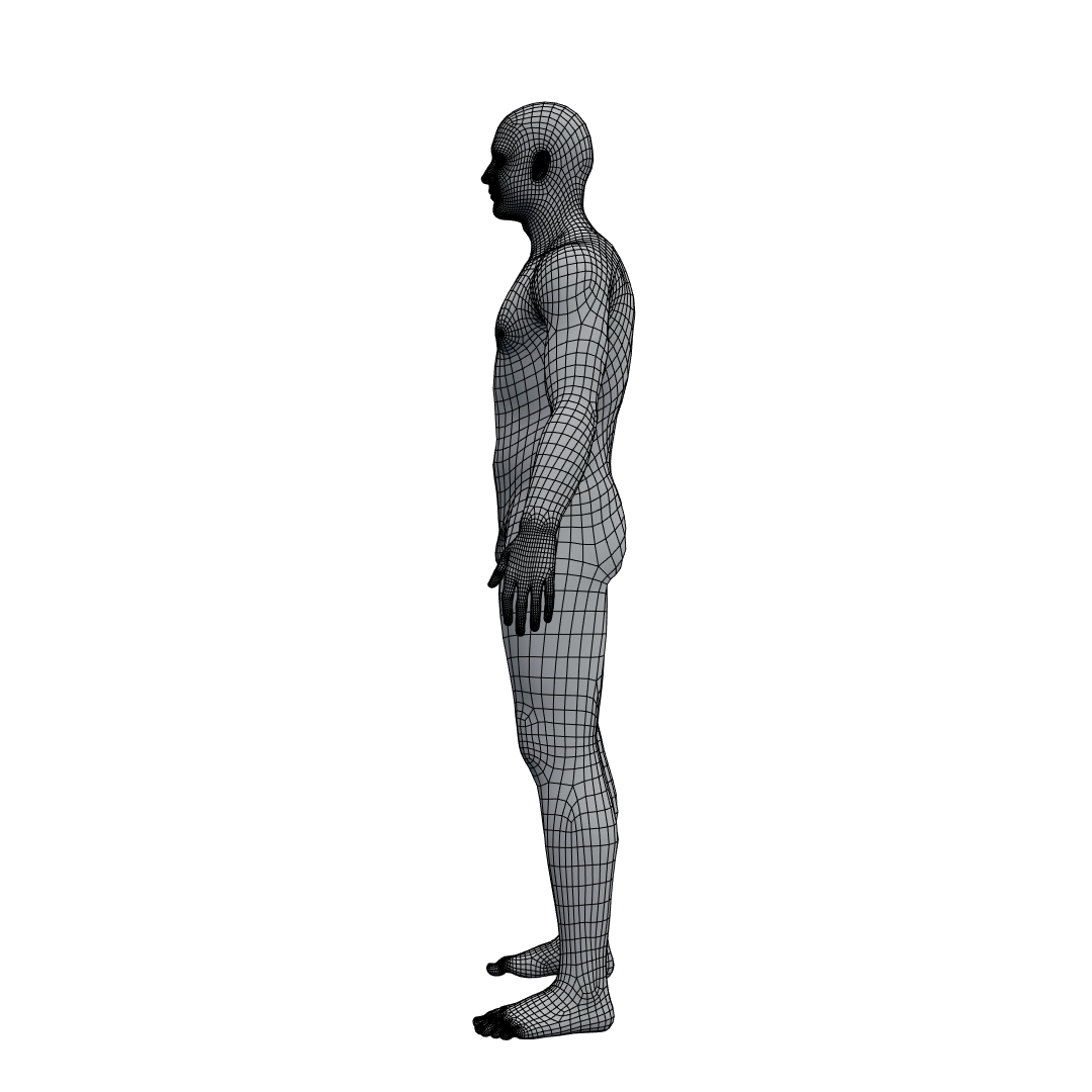 Man anatomy 3D model - TurboSquid 1242481