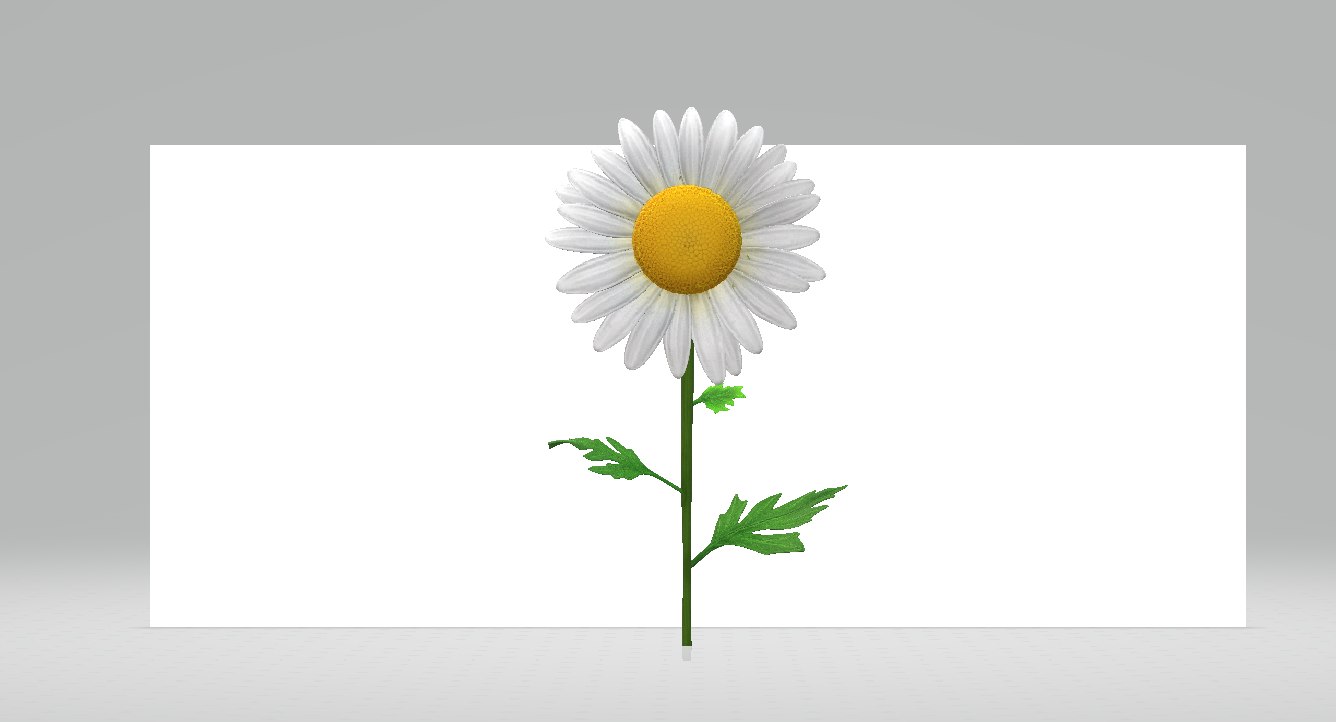3D daisy model - TurboSquid 1242524