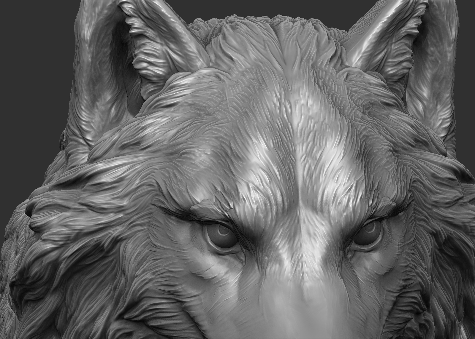 Wolf 3D model - TurboSquid 1242830