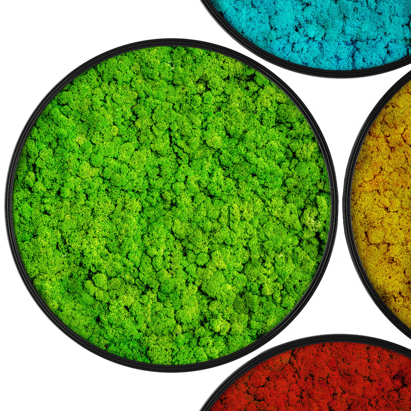 3D stabilized moss - TurboSquid 1243150