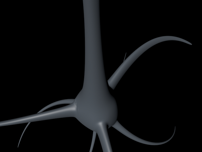 Neuron 3D model - TurboSquid 1243215