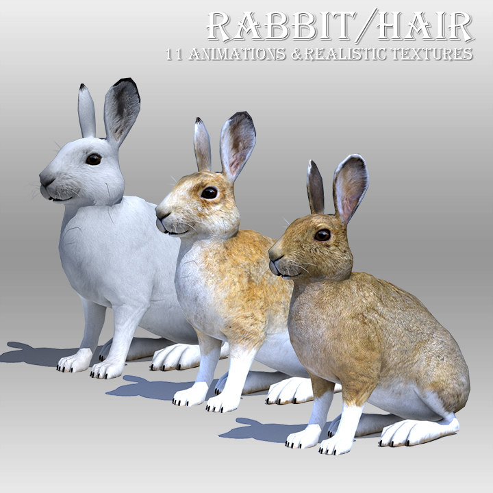 3D rabbit hair animations model - TurboSquid 1243660