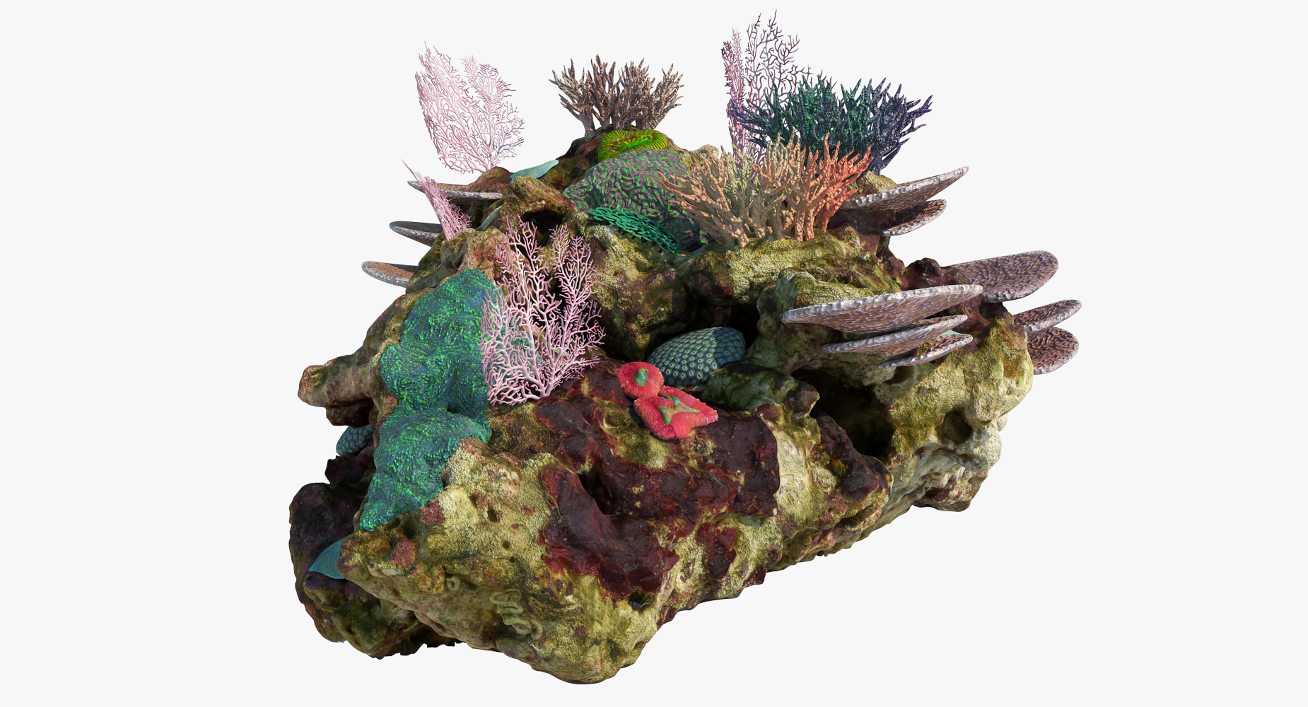 3D coral reef model - TurboSquid 1243686