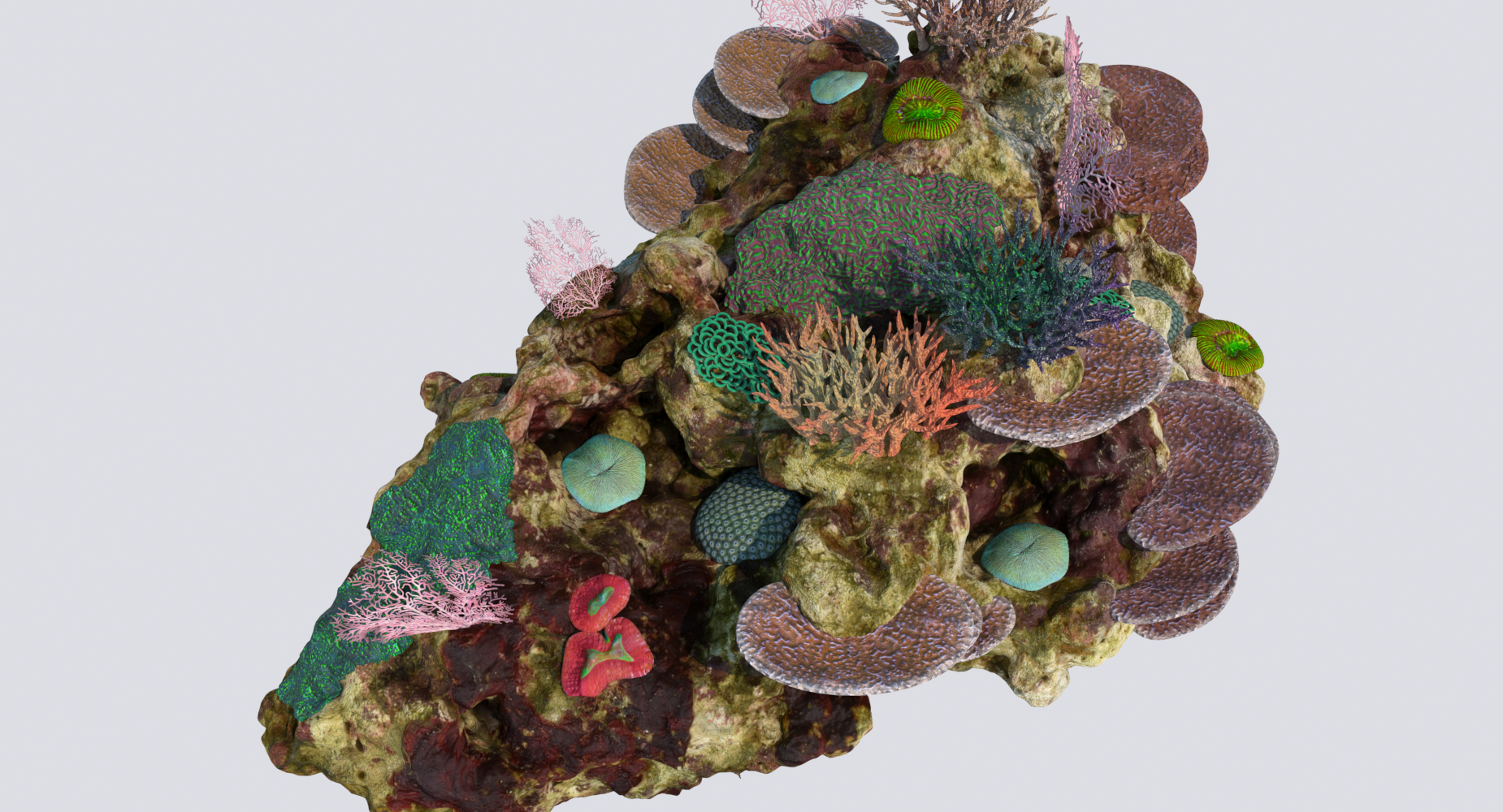 3D coral reef model - TurboSquid 1243686