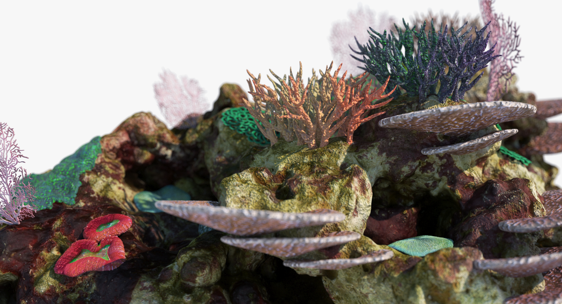 3D coral reef model - TurboSquid 1243686