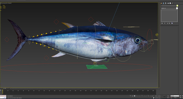 Tuna fish animation 3D - TurboSquid 1243932