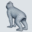 3D monkey animal mammal - TurboSquid 1244129