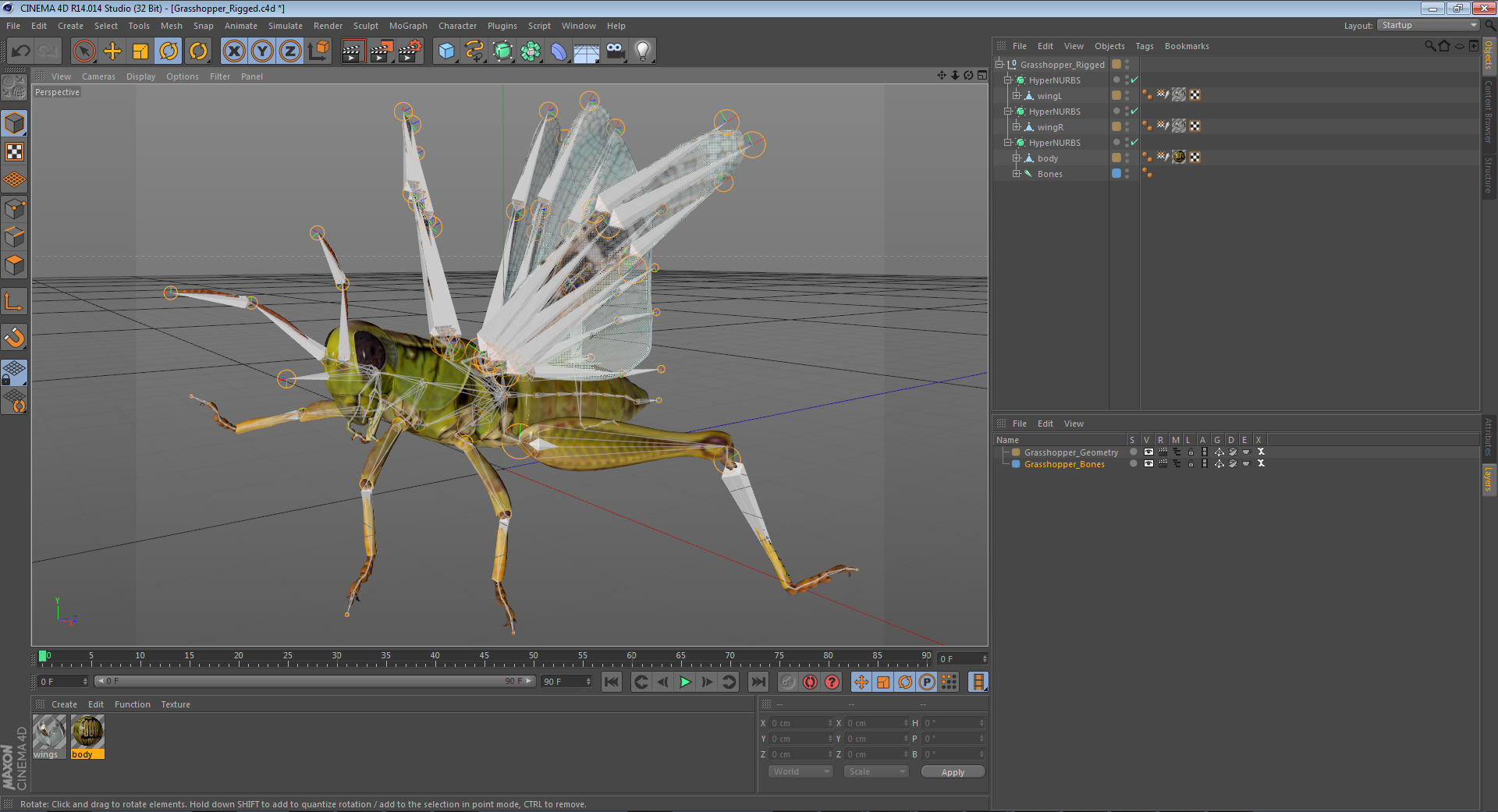 3D grasshopper rigged - TurboSquid 1244134