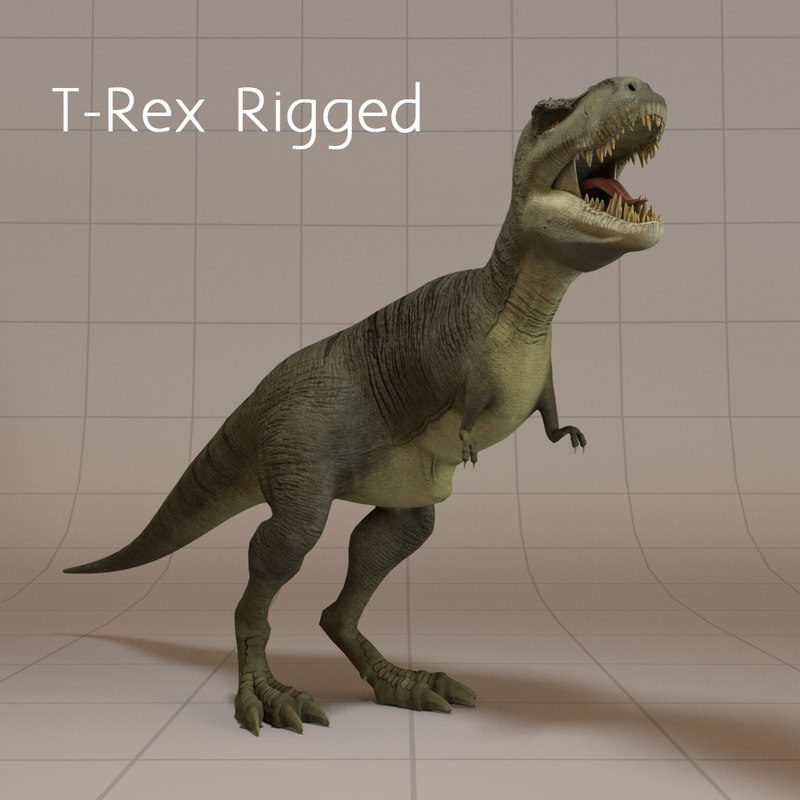 Rig 3D model - TurboSquid 1244853