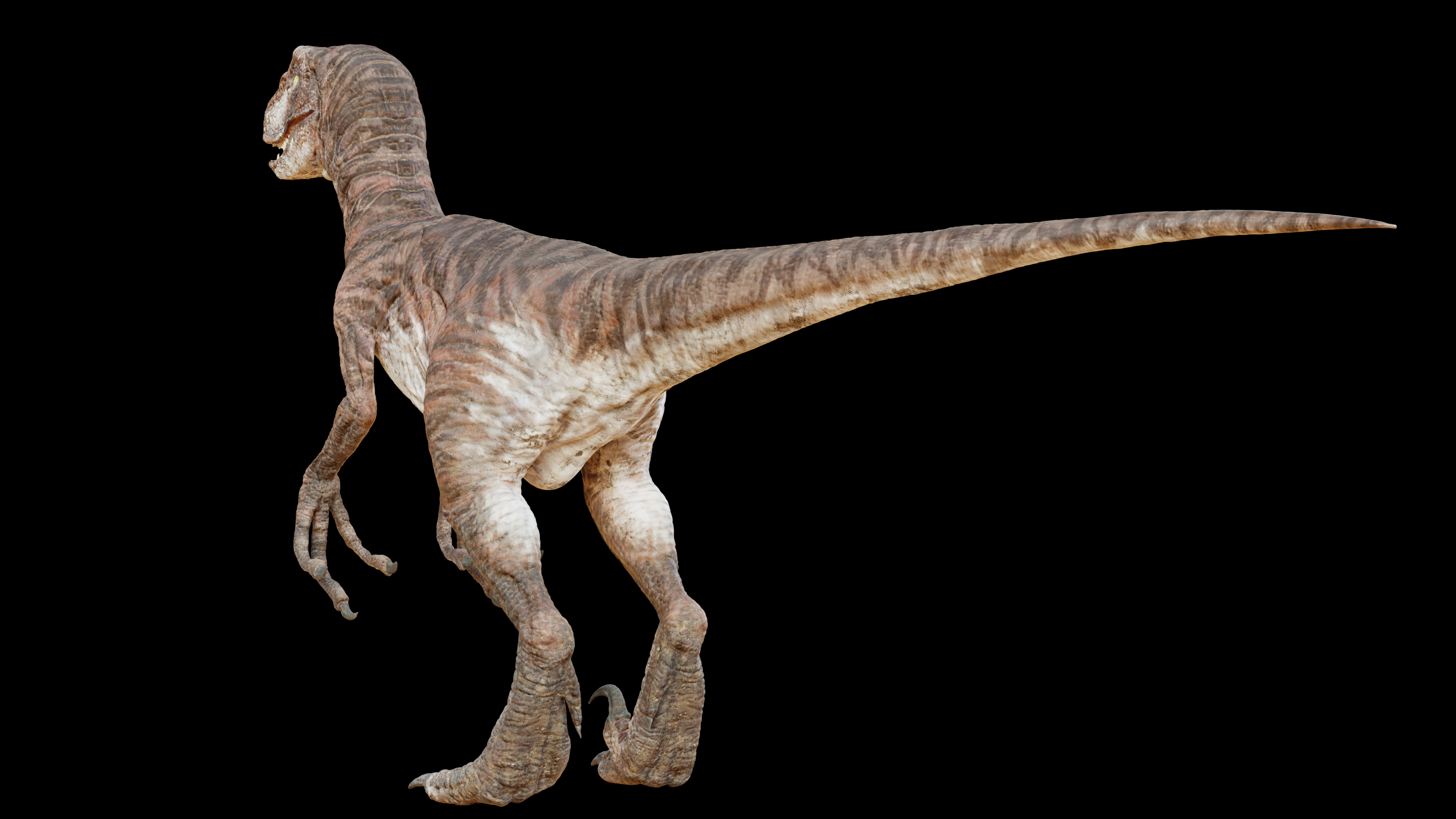 Realistic raptor 3D model - TurboSquid 1245365