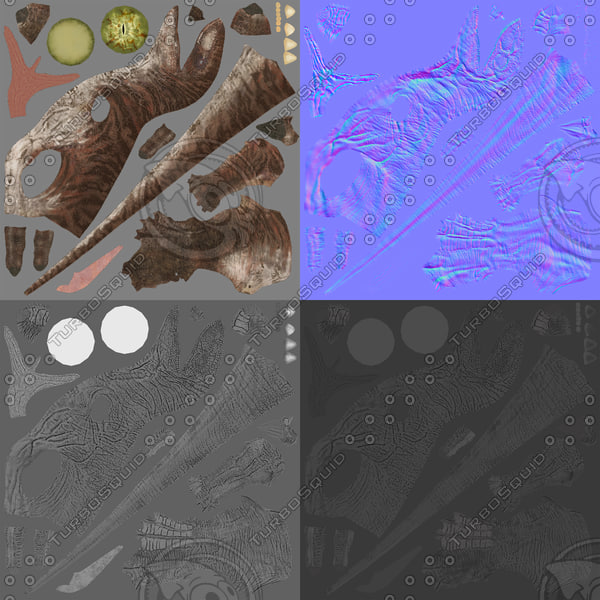 Realistic raptor 3D model - TurboSquid 1245365