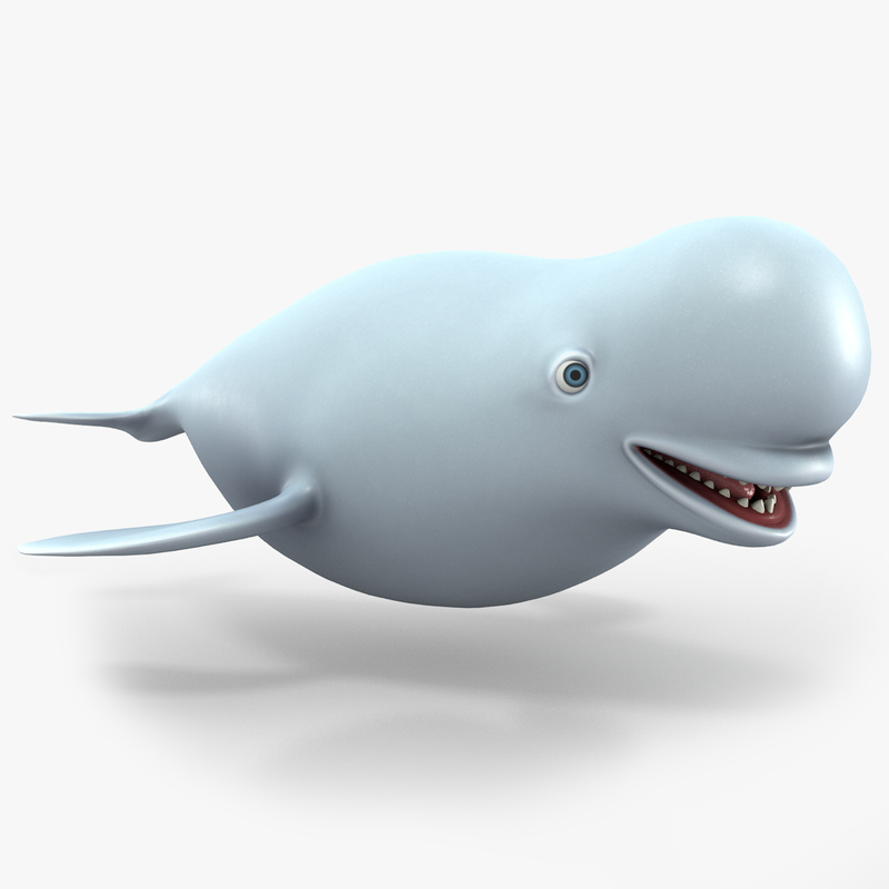 Cartoon beluga whale 3D model - TurboSquid 1245437