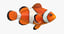 3D clownfish animation - TurboSquid 1246165
