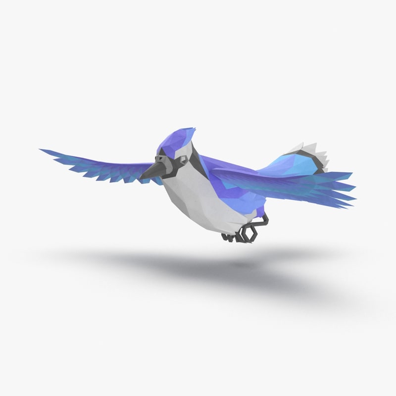 Bird----blue-bird-flying 3D model - TurboSquid 1246277