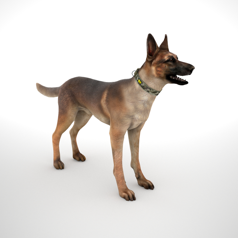 Belgian malinois multicam id model - TurboSquid 1246342
