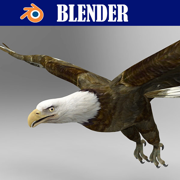 Blender Bird-Eagle Models | TurboSquid
