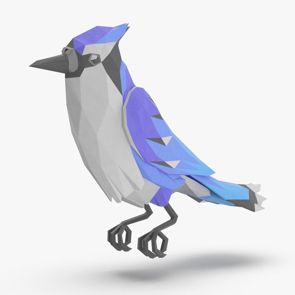Cartoon Bird 3D Models for Download | TurboSquid