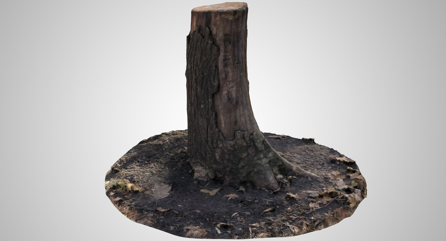 Oak stump 11 3D model - TurboSquid 1246491