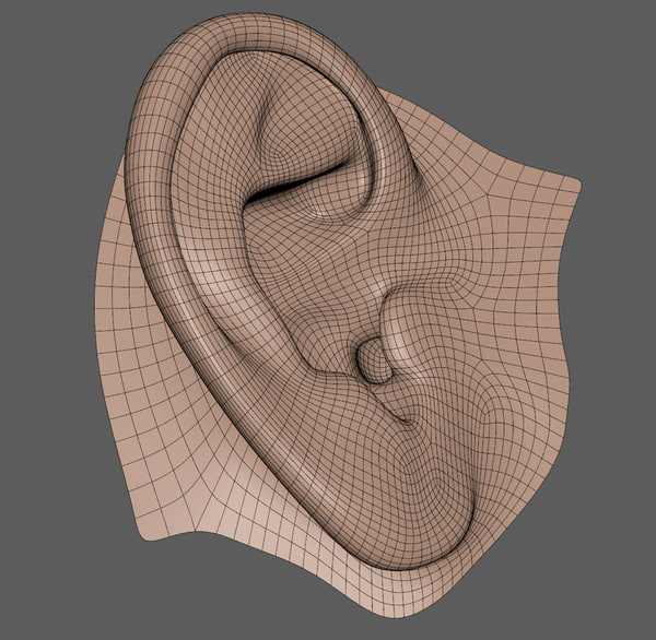 Menschliches Ohr 3D-Modell - TurboSquid 1246741
