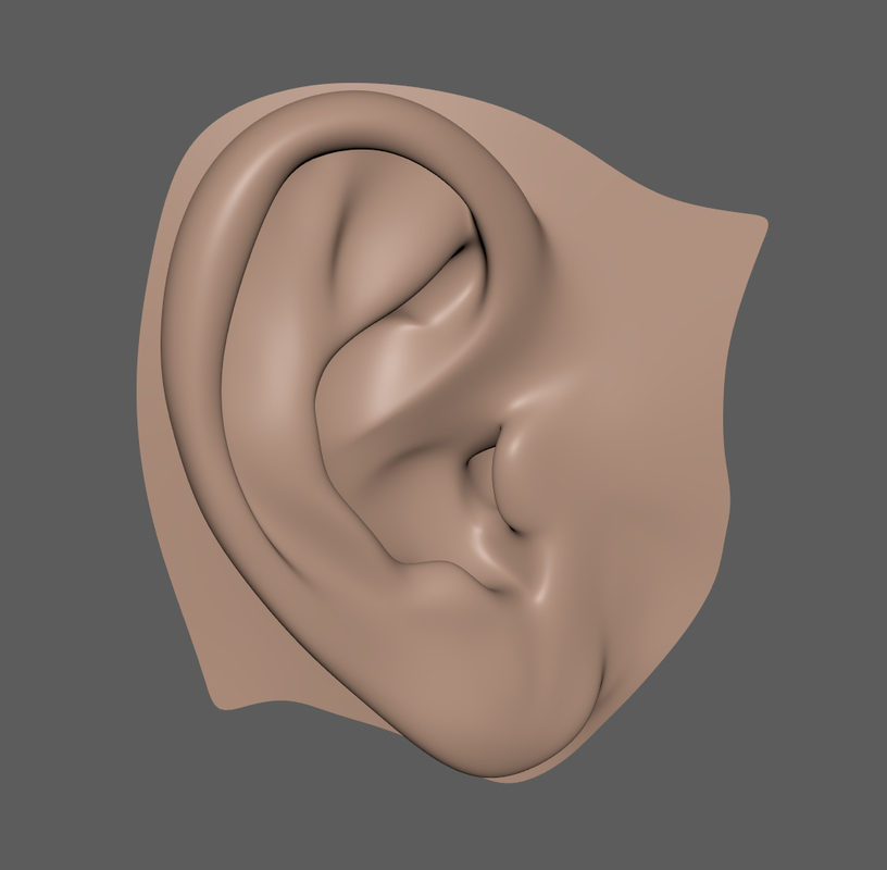 Menschliches Ohr 3D-Modell - TurboSquid 1246741