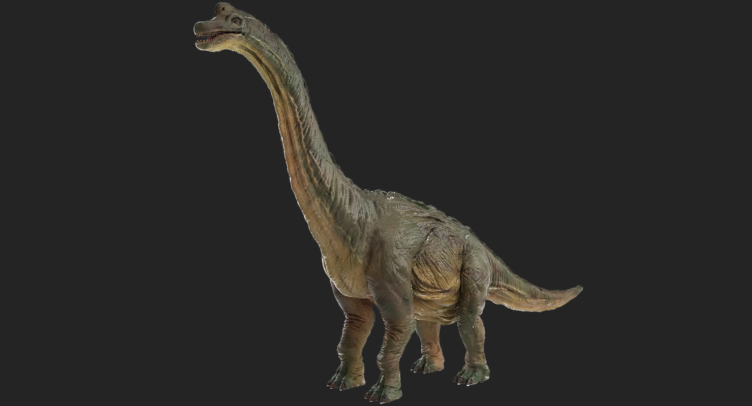 3D brachiosaurus brachio saurus - TurboSquid 1247082