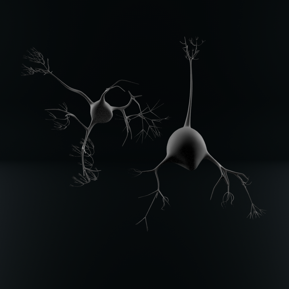 3D neuron - TurboSquid 1247185