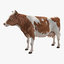 3D model cow realistic - TurboSquid 1247251