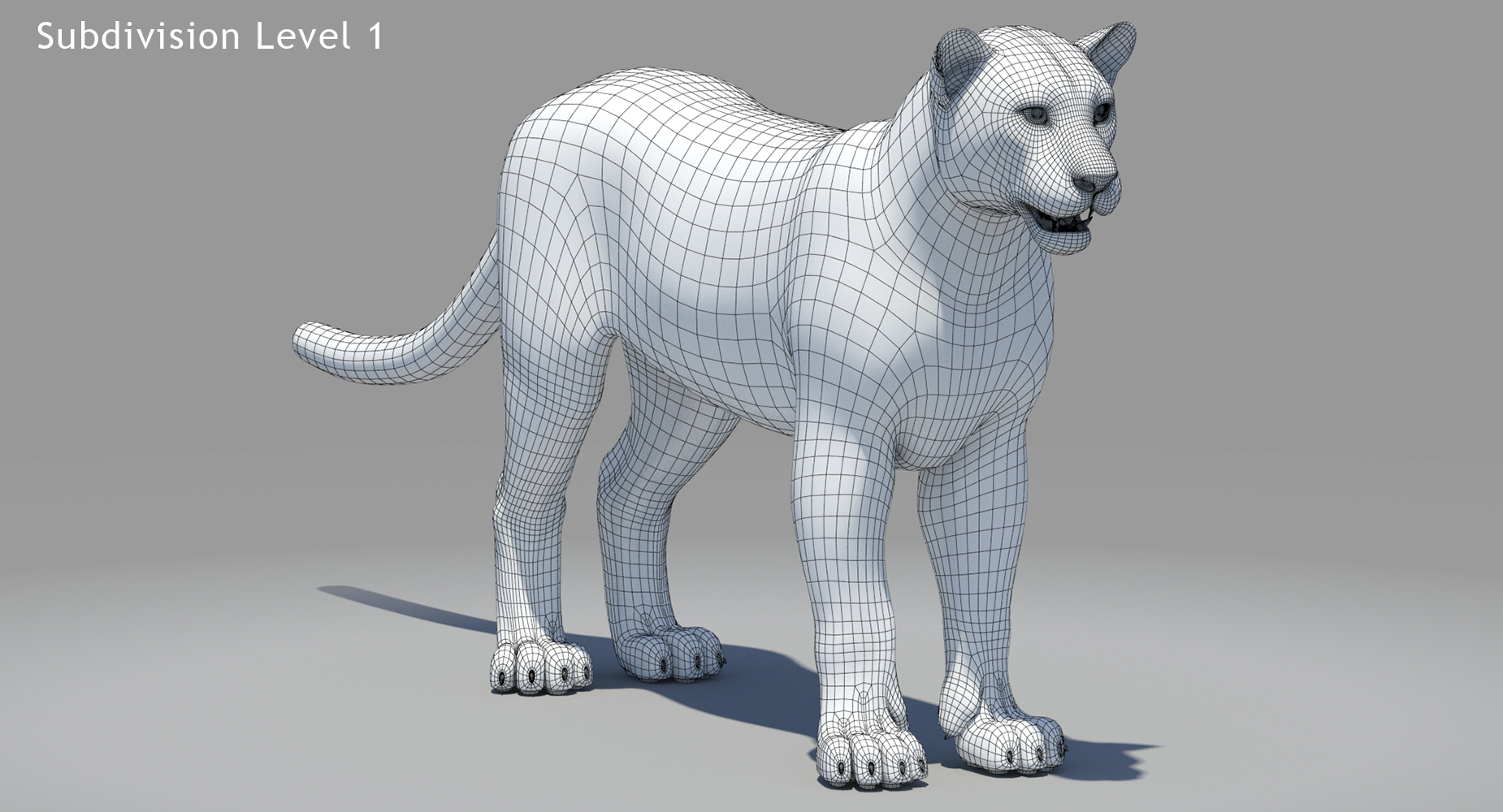 3D big cats 04 - TurboSquid 1252549