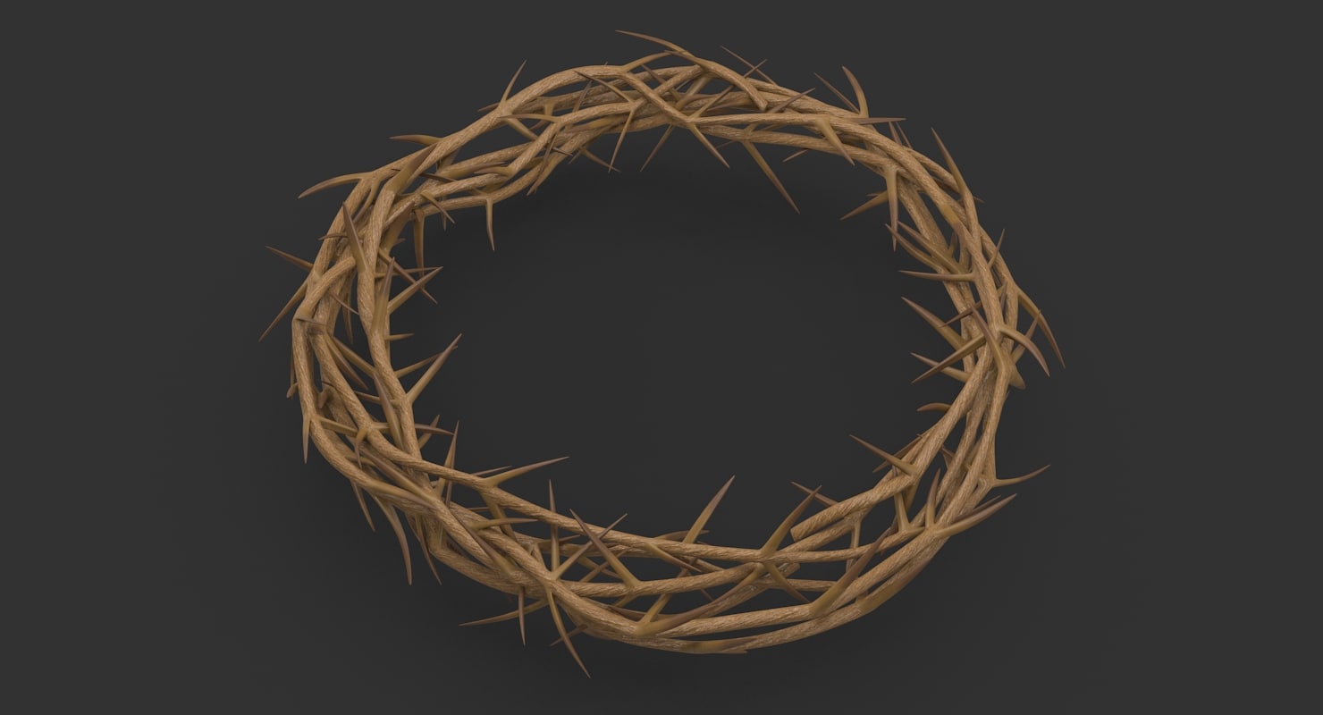 Crown thorns 3D model - TurboSquid 1259680