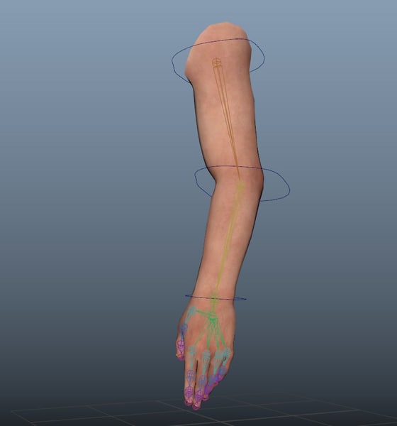 Hand rigged 3D - TurboSquid 1260108