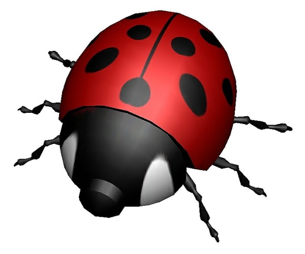 Ladybug 3D Models for Download | TurboSquid
