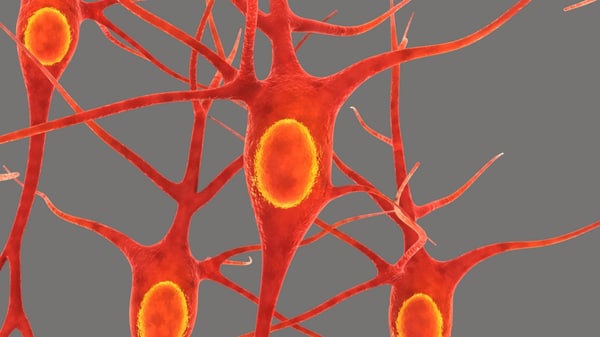 3D neural tissue model - TurboSquid 1261525