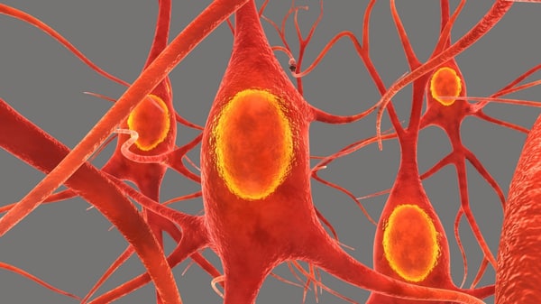 3D neural tissue model - TurboSquid 1261525