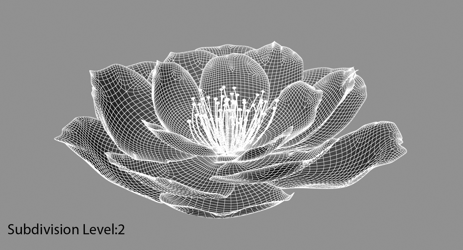 Flower 3D model - TurboSquid 1262025