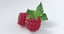 Raspberry fruit 3D model - TurboSquid 1262056