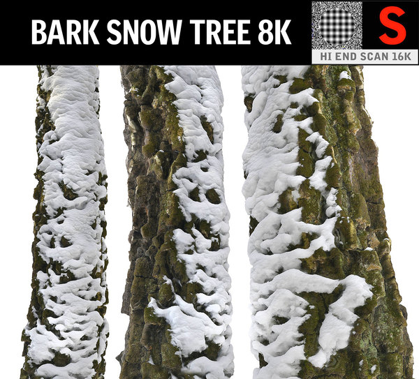 Snow Tree 3D Models for Download | TurboSquid