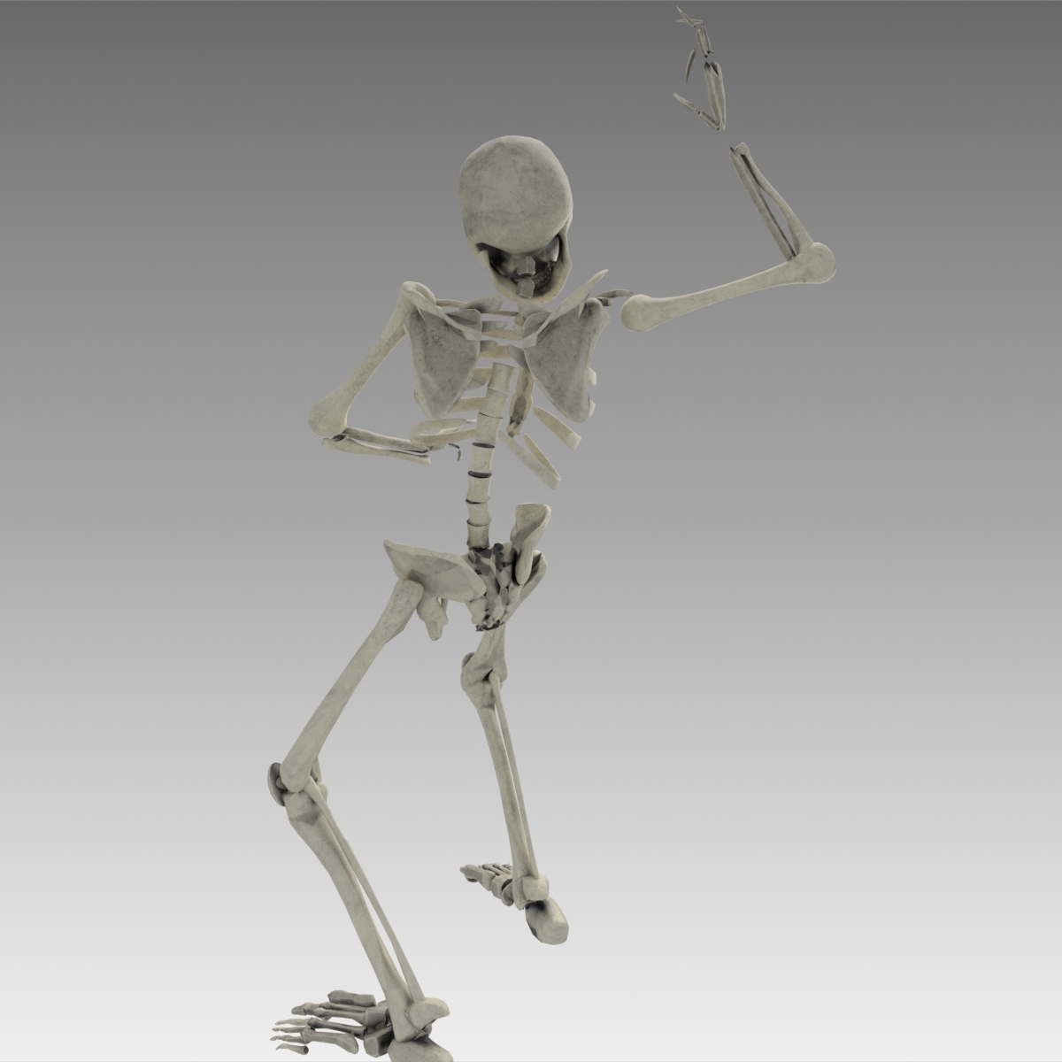 Skeleton character 3D - TurboSquid 1263921