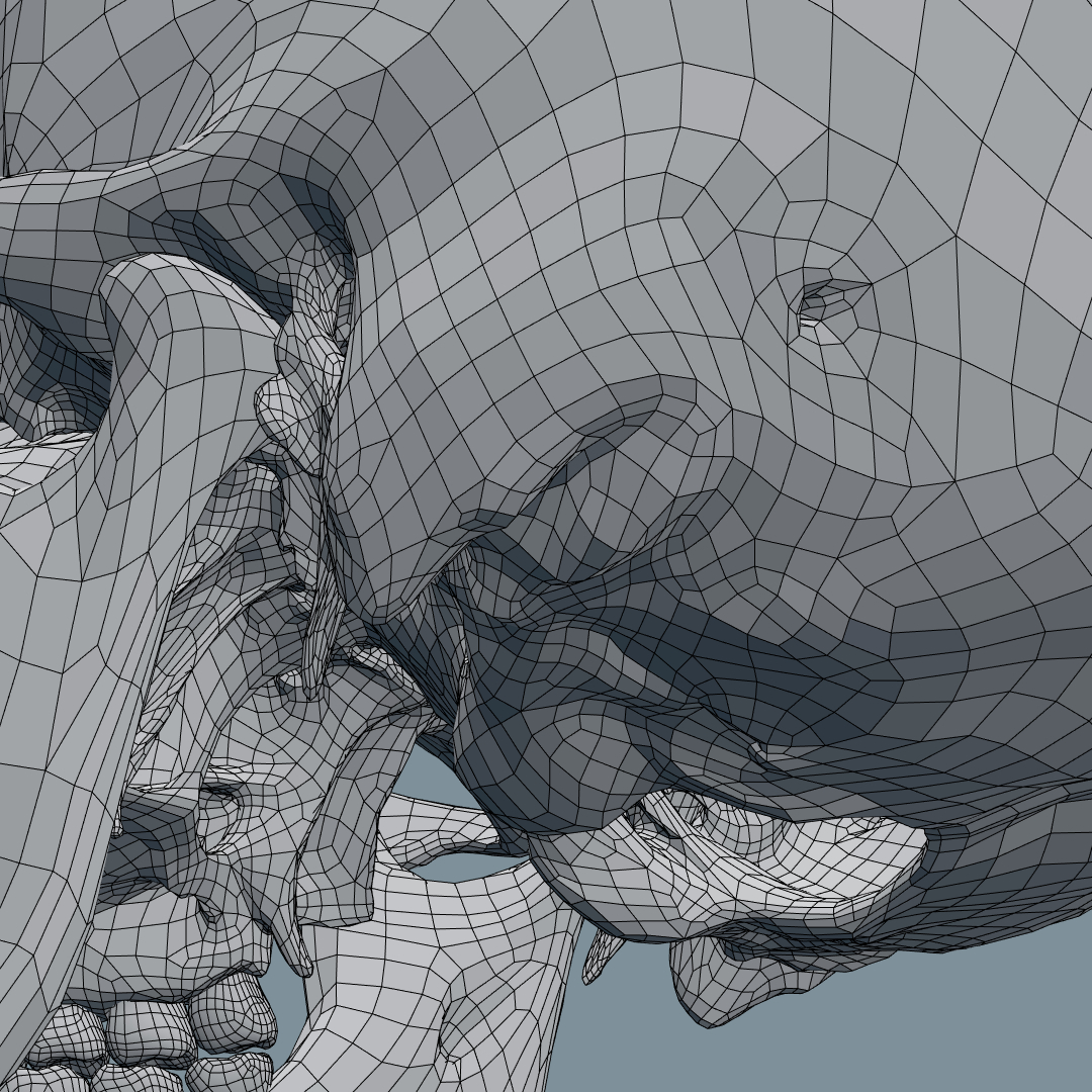 Human skull 3D model - TurboSquid 1264326