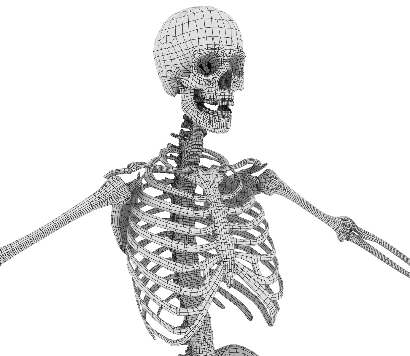 Human skeleton 3D model - TurboSquid 1266282