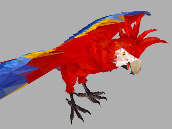 Macaw 3D Models for Download | TurboSquid