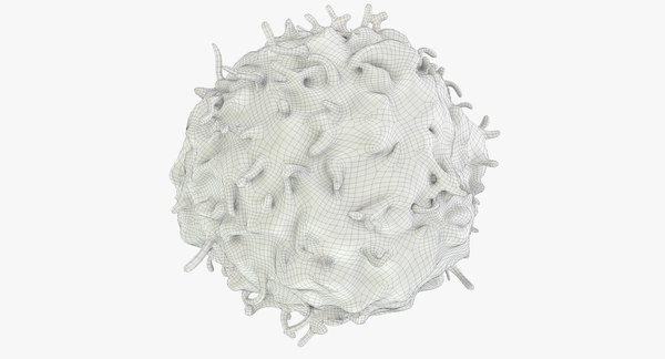3D model lymphocyte t-cell b-cell - TurboSquid 1267406