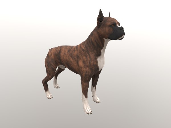 maya dog stylized canine