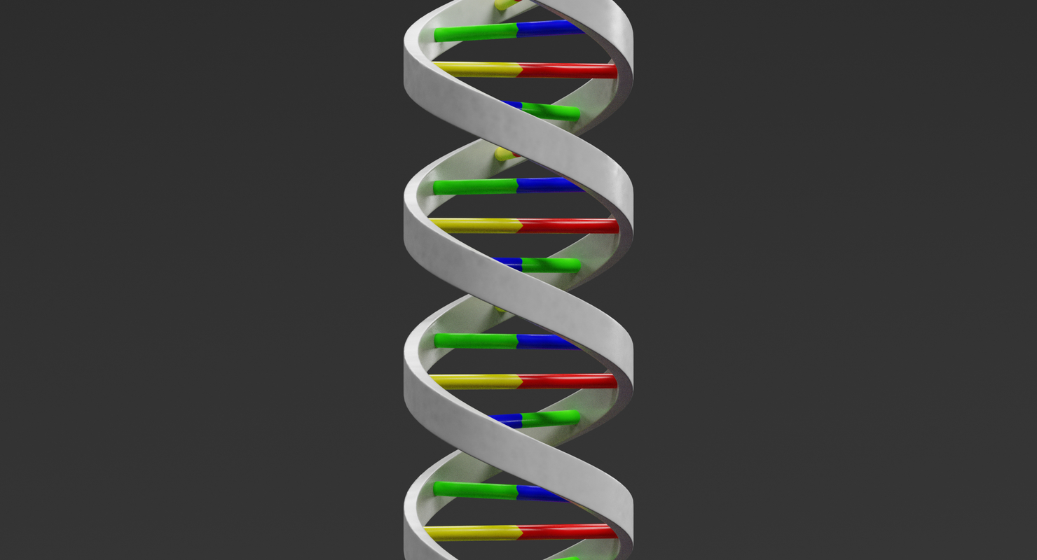 Human dna model - TurboSquid 1268653