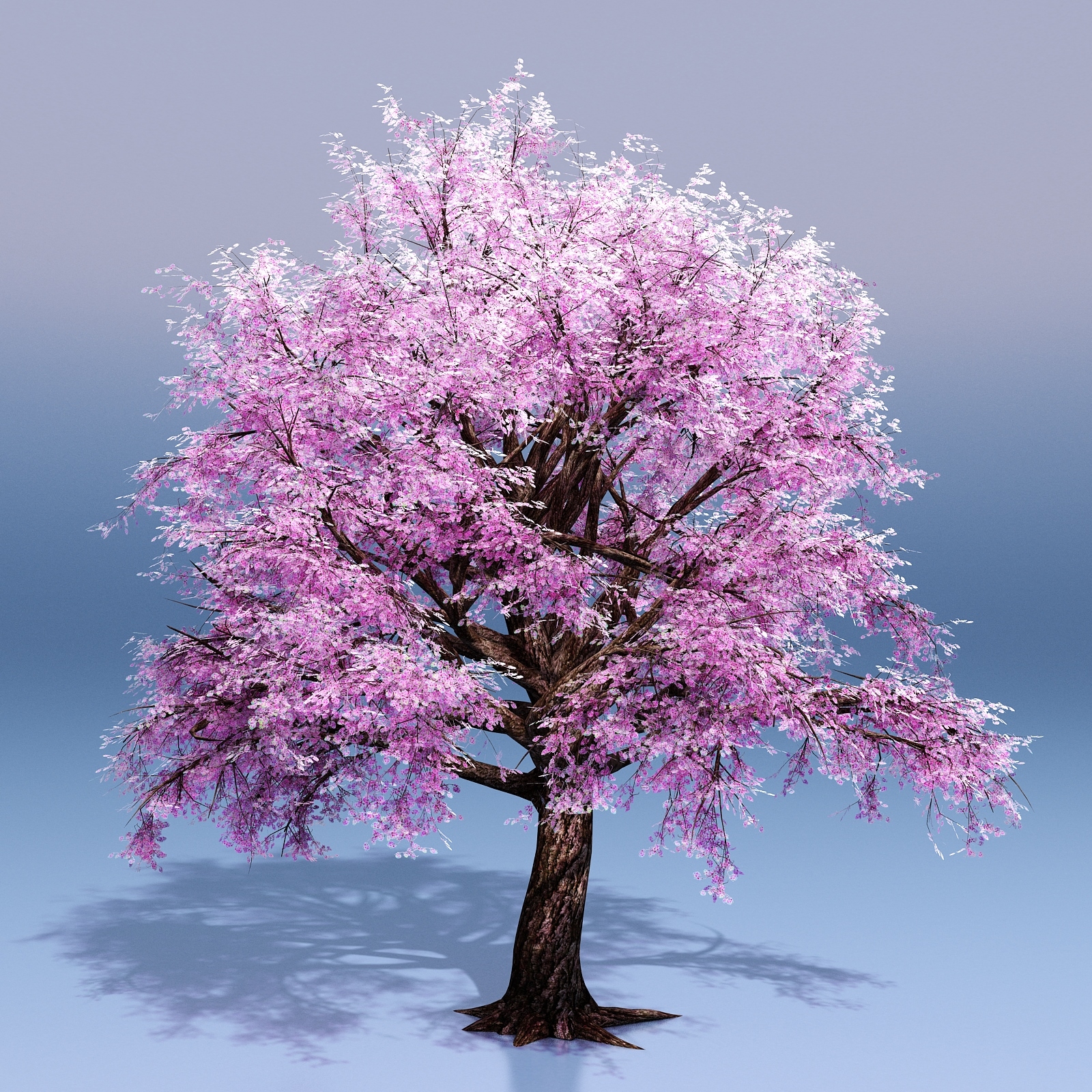 3D cherry blossom tree - TurboSquid 1268843