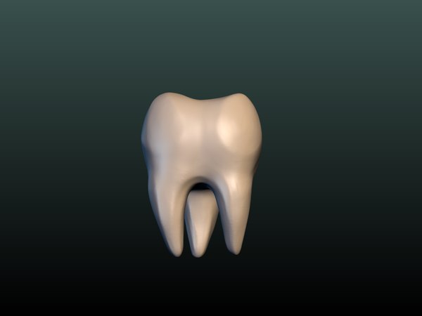Tooth STL Models for Download | TurboSquid