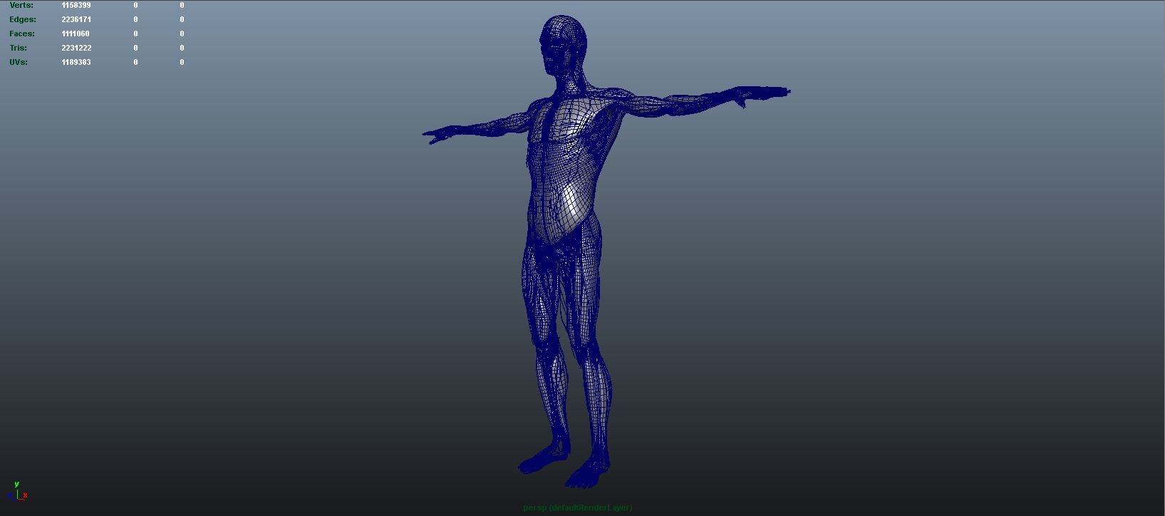 3D muscular muscles nerves - TurboSquid 1269626