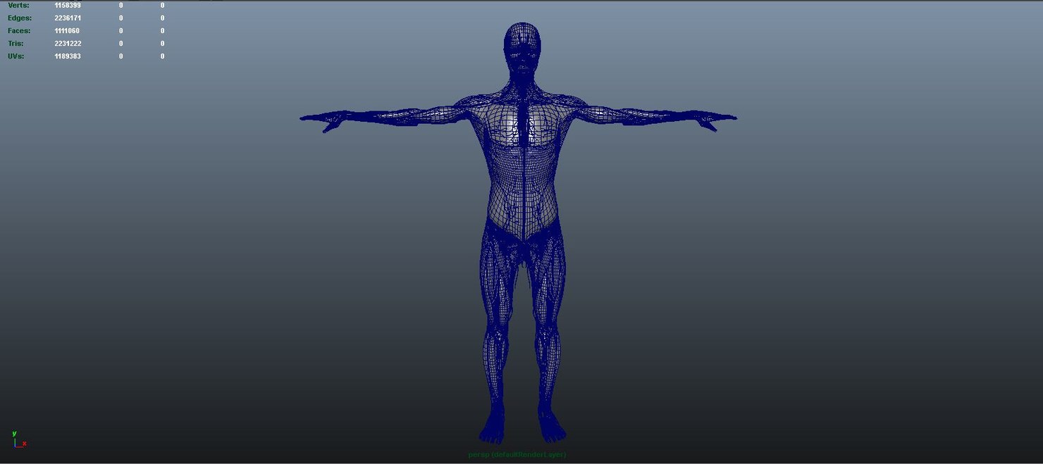3D muscular muscles nerves - TurboSquid 1269626