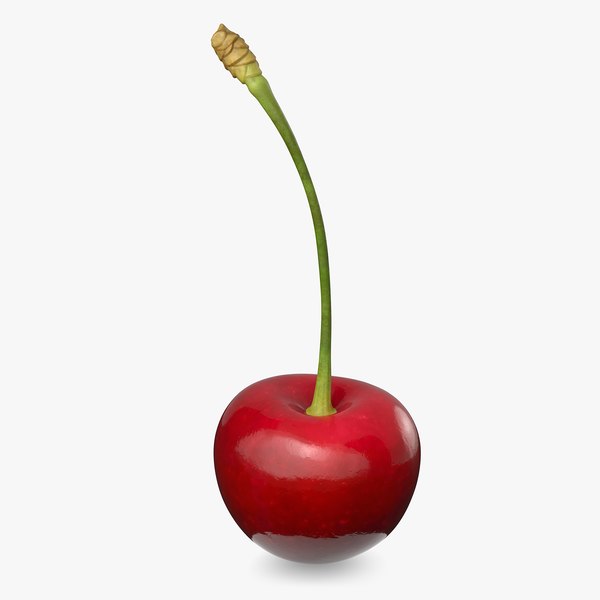 Cherry 3D Models for Download | TurboSquid